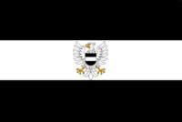 Flag of SSD - MicroWiki