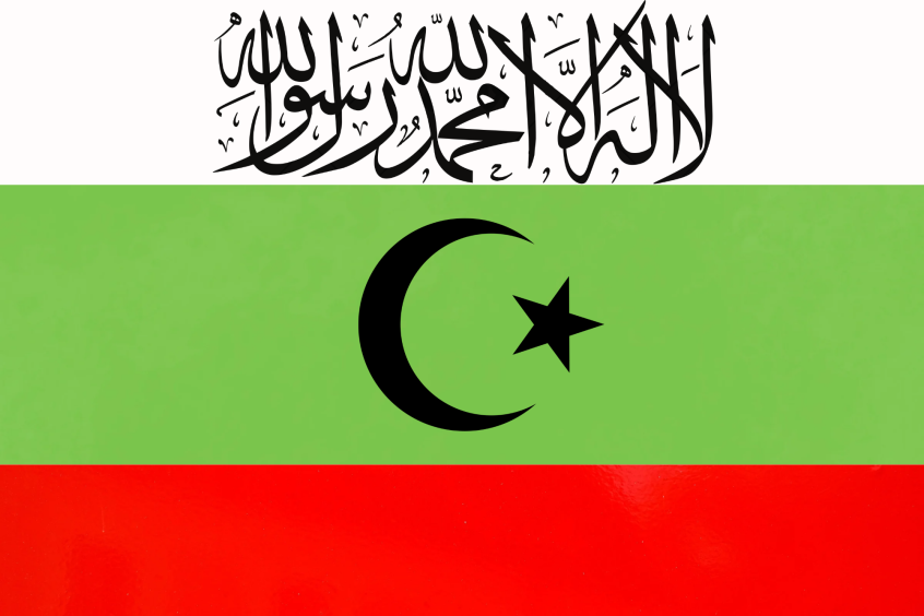 File:Flag of the Alliance of North African Micronations.webp - MicroWiki